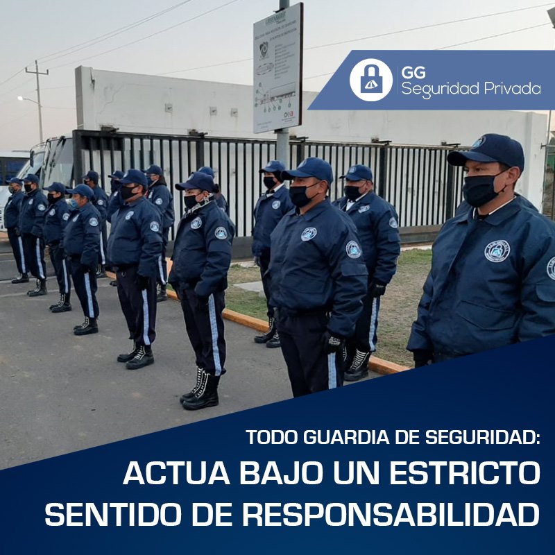 LA INCANSABLE BUSQUEDA DE LA CALIDAD EN LOS SERVICIOS DE SEGURIDAD – GG ...